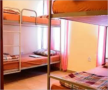 SpringForte-Lead College